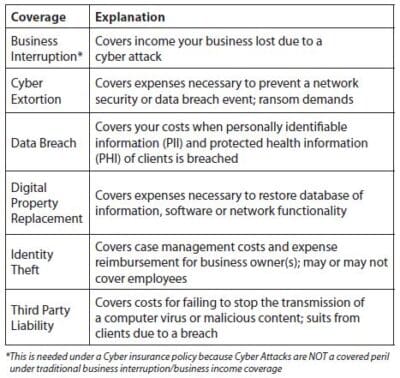 Cyber Insurance - Professional Insurance Programs